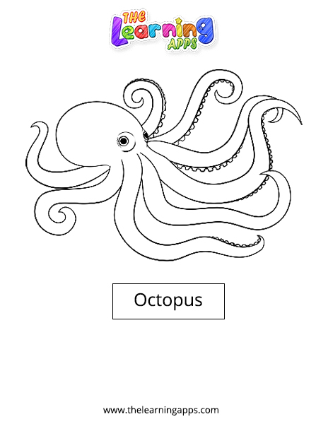 Download Free Printable Octopus Worksheet for Kids